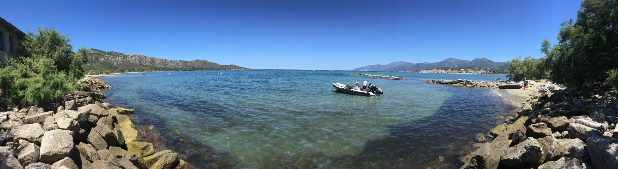 Collexism - Collisional excitation of (reactive) astrophysical ...